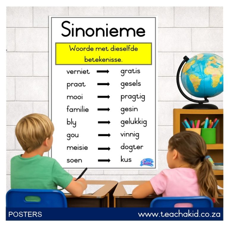Plakkaat: Sinonieme (printed) - Teachakid